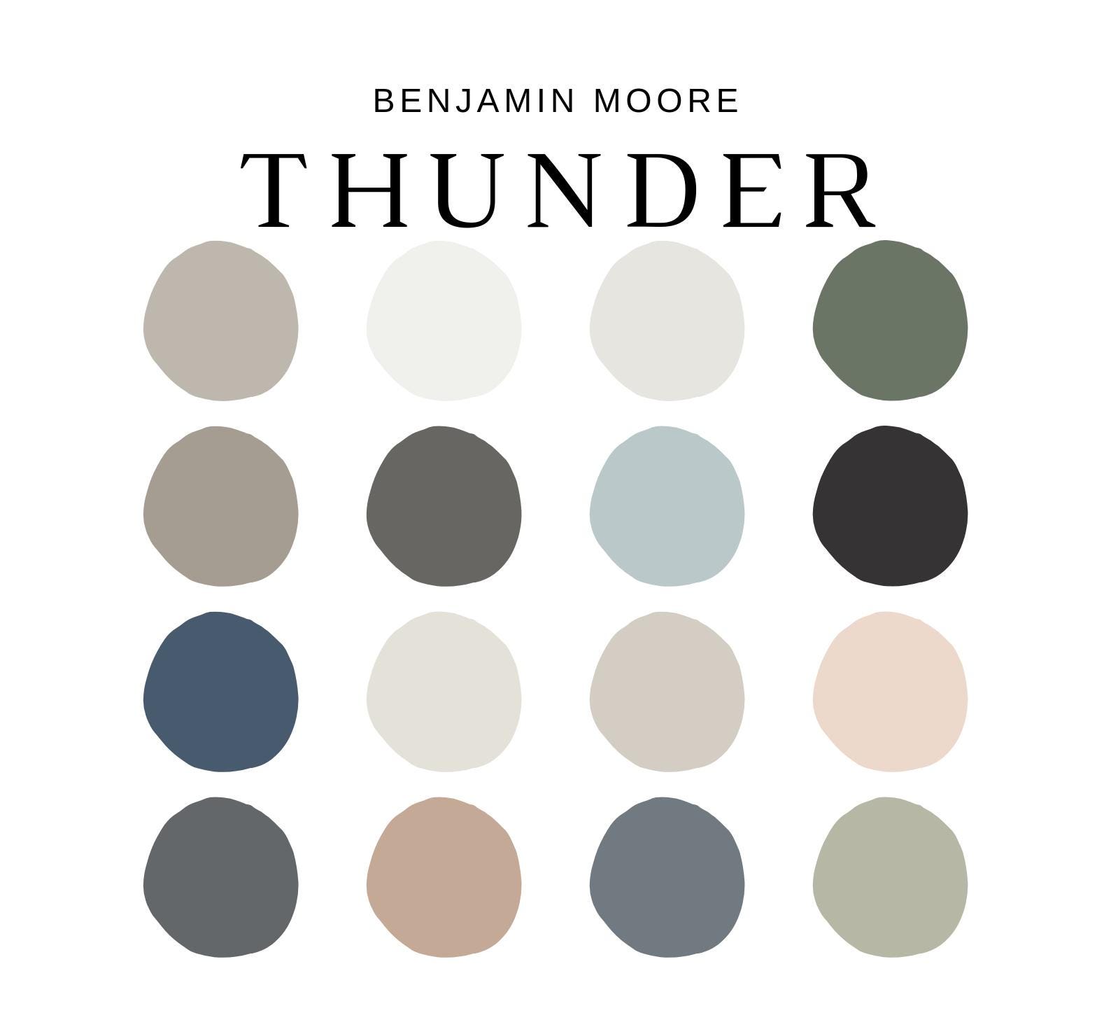 Benjamin Moore THUNDER Color Palettes, Benjamin Moore Neutral Color, BM ...