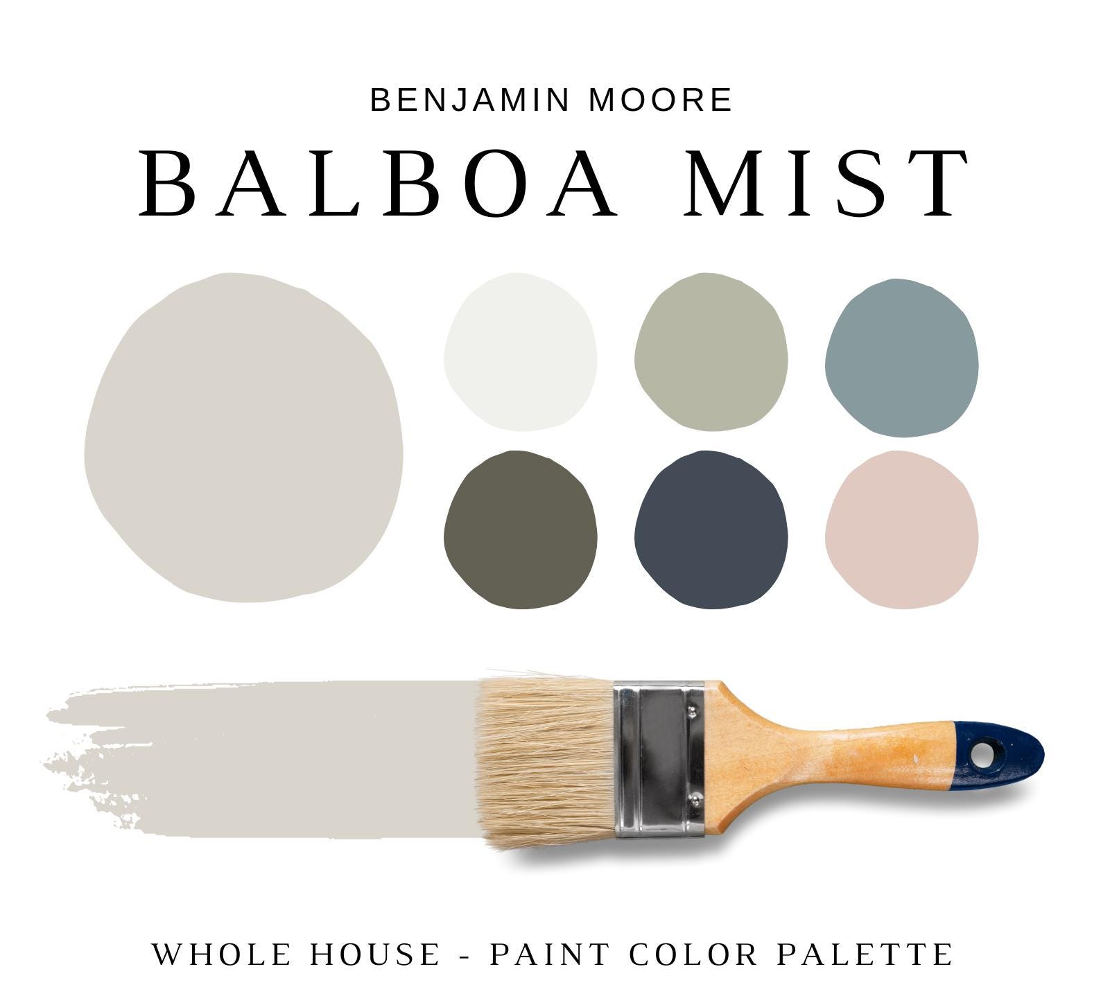Benjamin Moore BALBOA MIST Color Palettes, Balboa Mist Coordinating ...