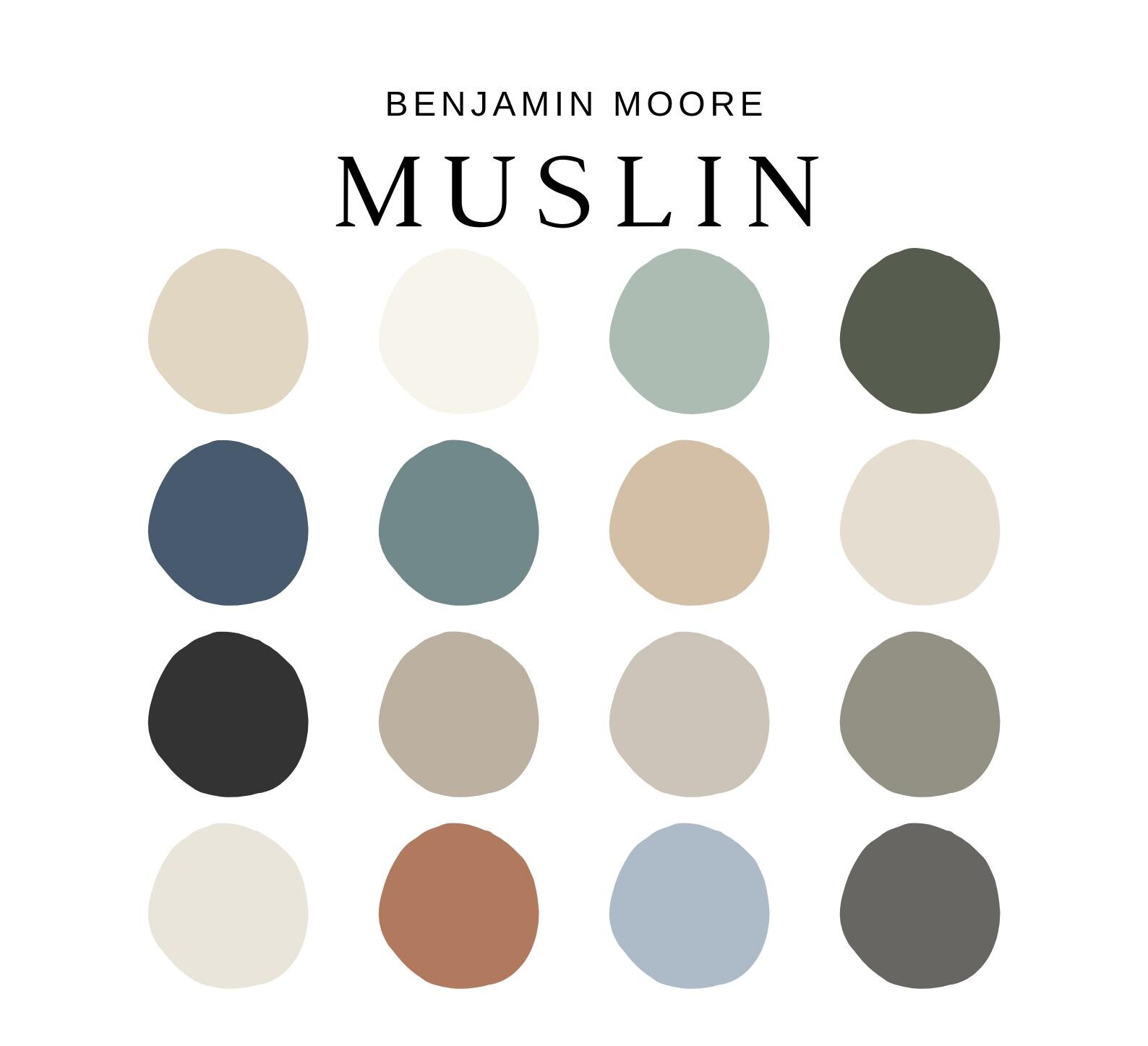 Benjamin Moore MUSLIN Color Palette, Modern Color Scheme, BM MUSLIN ...