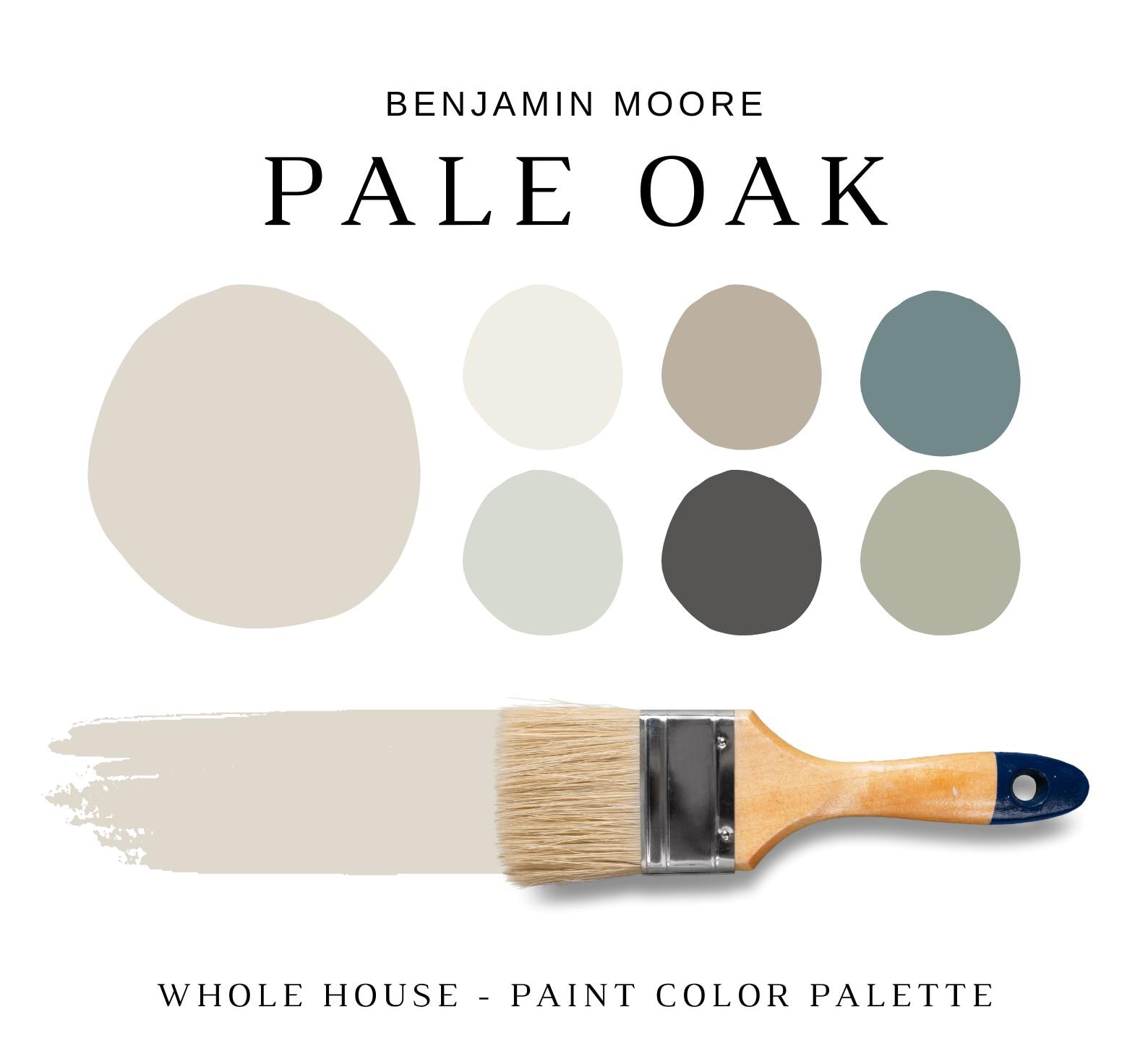Benjamin Moore PALE OAK Color Palettes, Light Greige Paint, Pale Oak ...