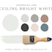 Sherwin Williams CEILING BRIGHT WHITE Paint Palette, Sherwin Williams ...