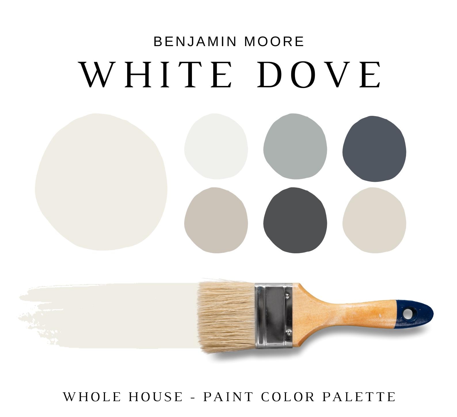 WHITE DOVE Benjamin Moore Color Palette, Modern Color Scheme, White ...