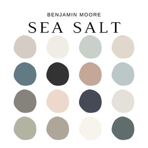 Benjamin Moore SEA SALT Color Palette, Modern Color Scheme, Sea Salt ...