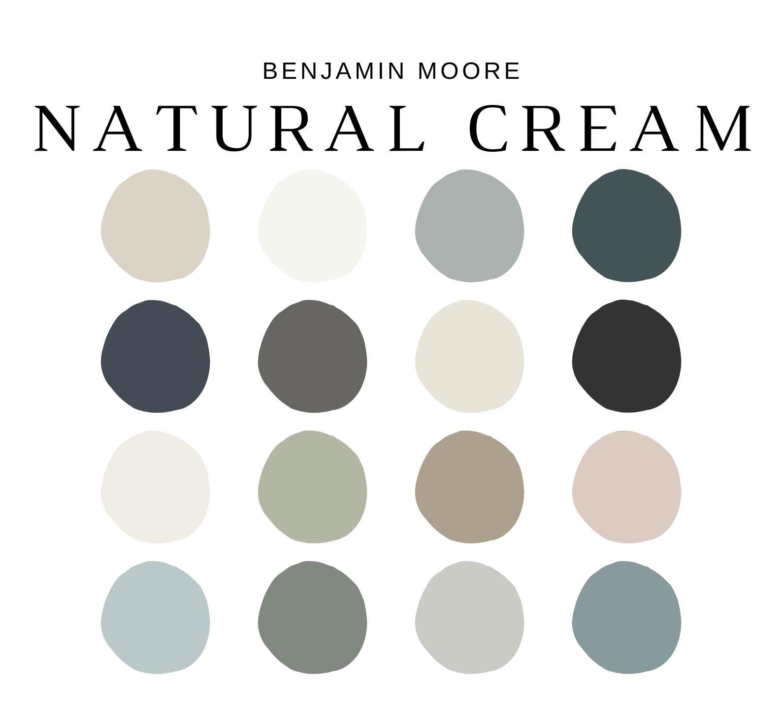 Benjamin Moore NATURAL CREAM Color Palette, Modern Color Scheme, BM ...