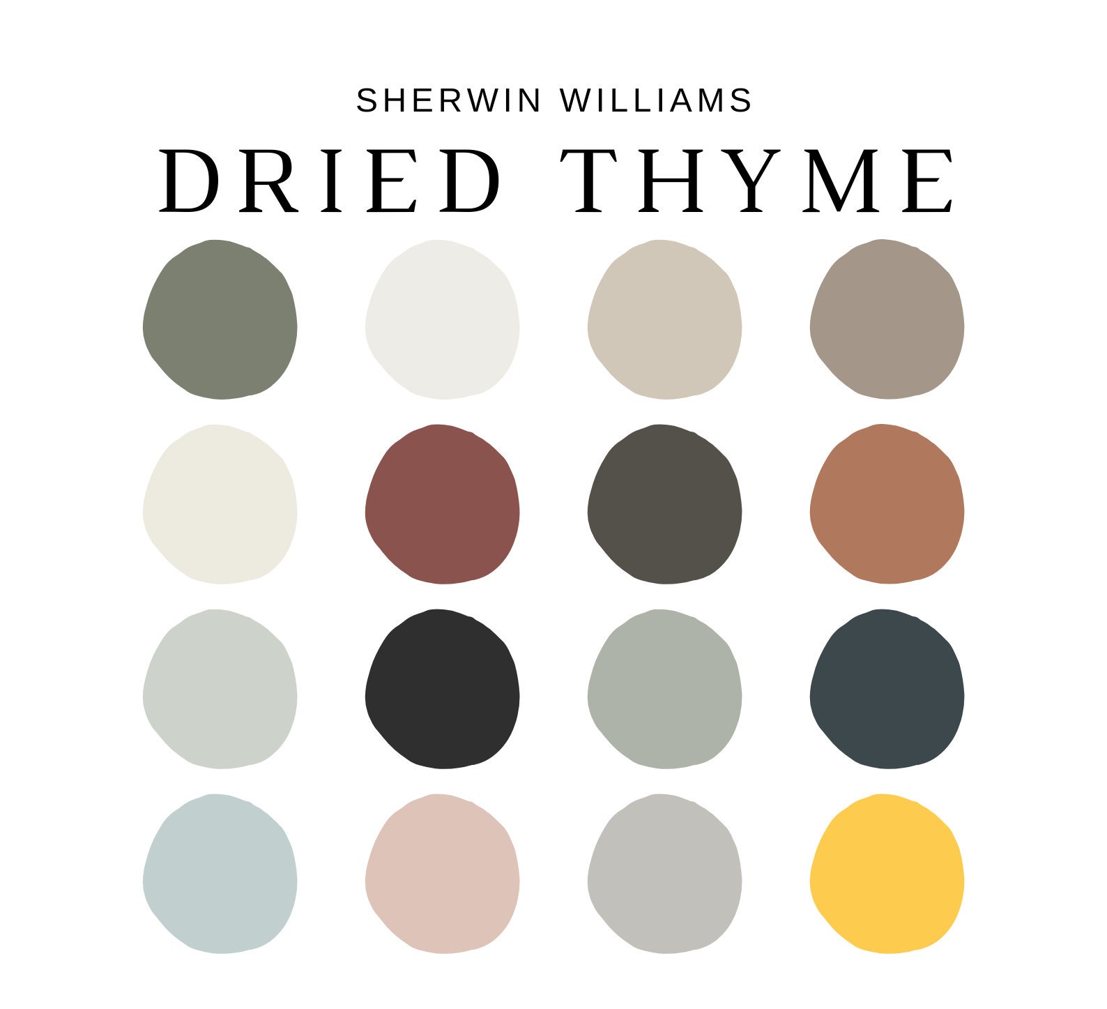 Sherwin Williams DRIED THYME Color Palette, Dried Thyme Complementary ...