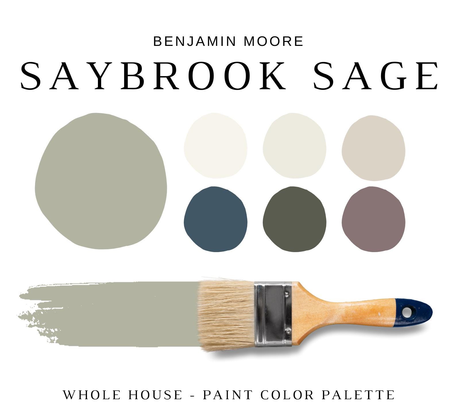Benjamin Moore SAYBROOK SAGE Color Palette, Best Selling Neutral ...