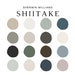 Sherwin Williams SHIITAKE Paint Palette, Warm Neutral Paints, Mushroom ...