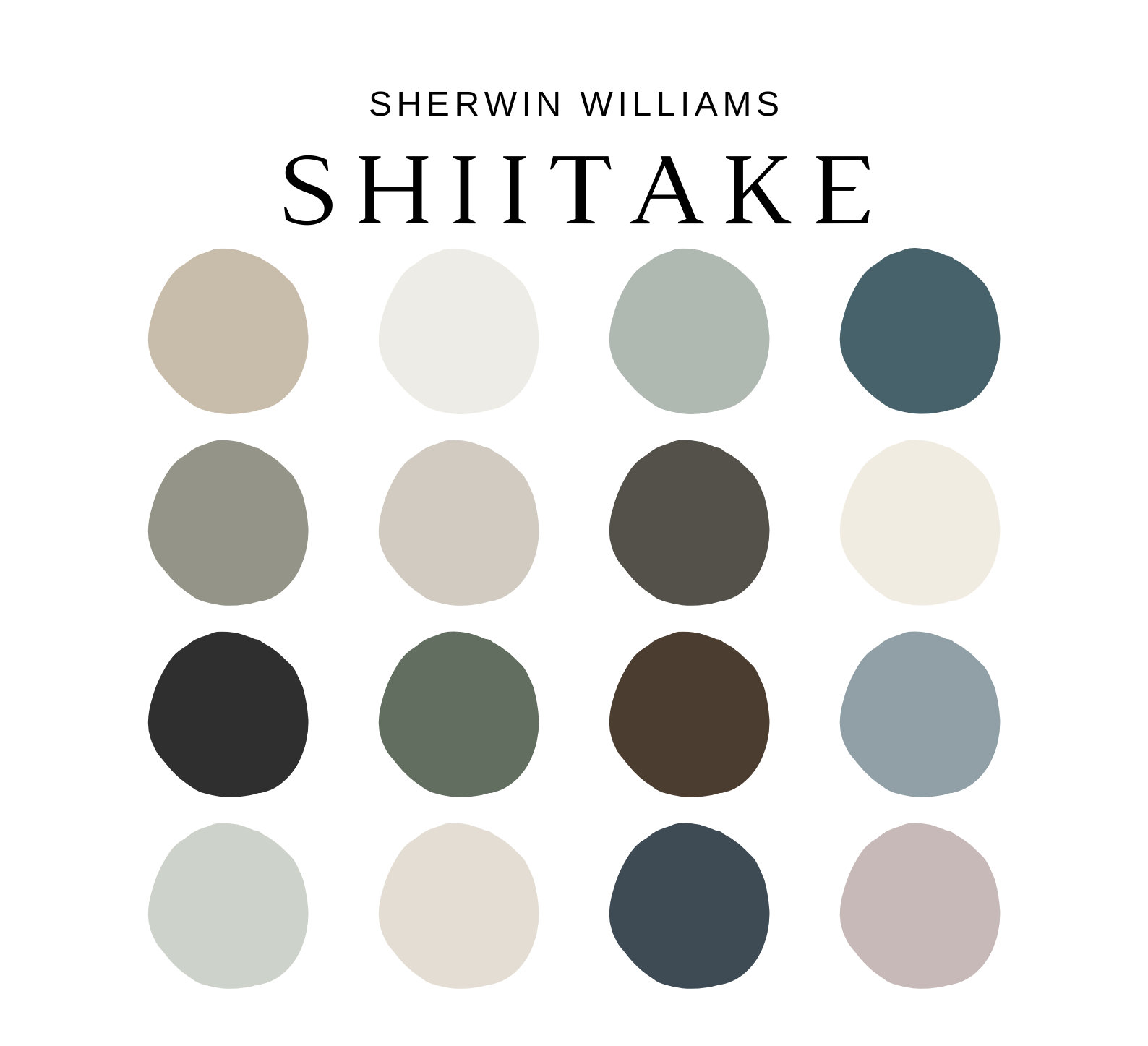 Sherwin Williams SHIITAKE Paint Palette, Warm Neutral Paints, Mushroom ...