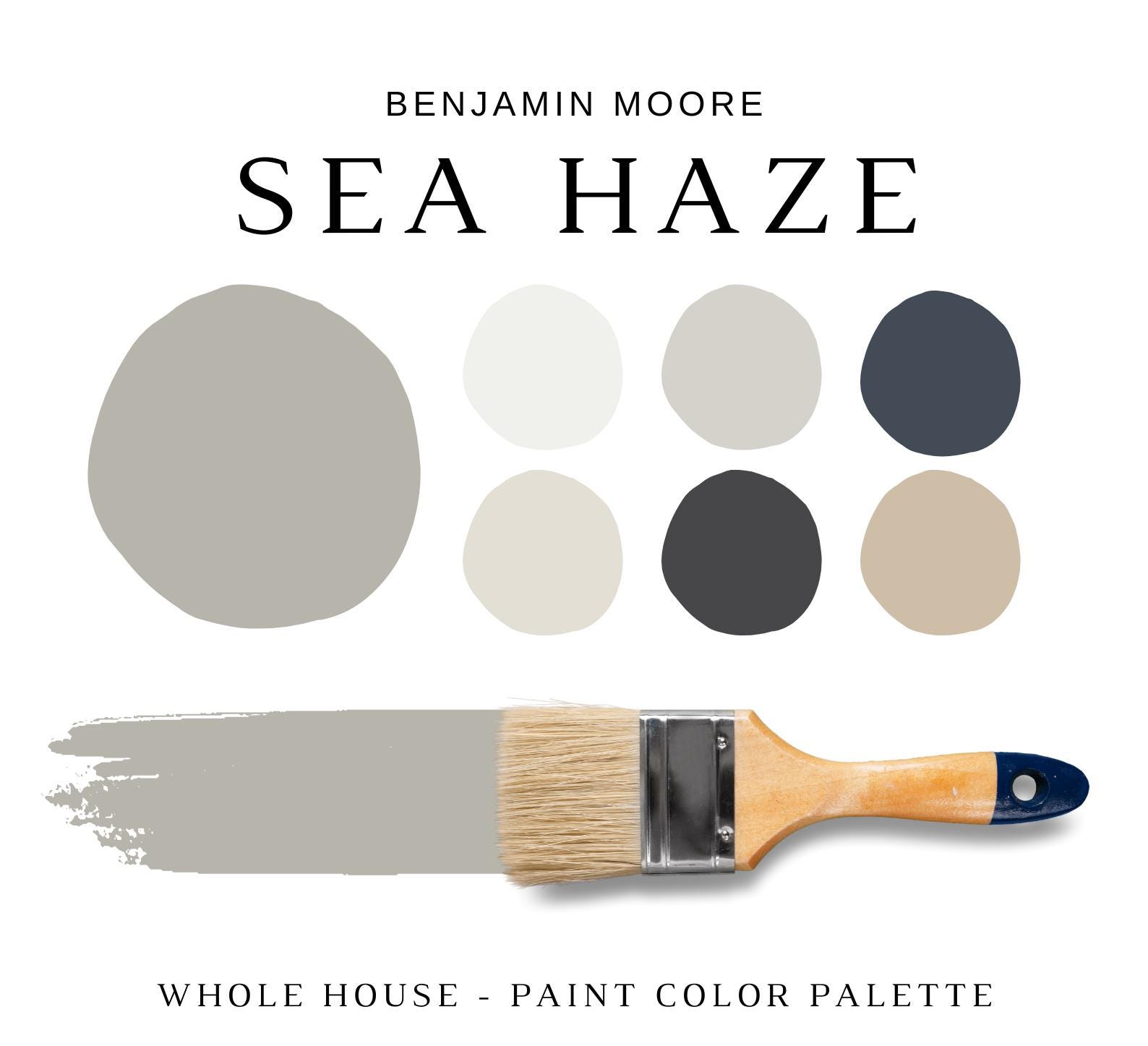 Benjamin Moore SEA HAZE Color Palettes, Benjamin Moore Green Paint, BM ...