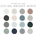 Sherwin Williams CEILING BRIGHT WHITE Paint Palette, Sherwin Williams ...