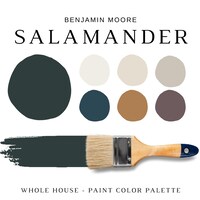 Benjamin Moore SALAMANDER Color Palette, Teal Wall Accent, Salamander ...