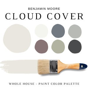 Benjamin Moore CLOUD COVER Color Palettes, Light Gray Paint Selections ...