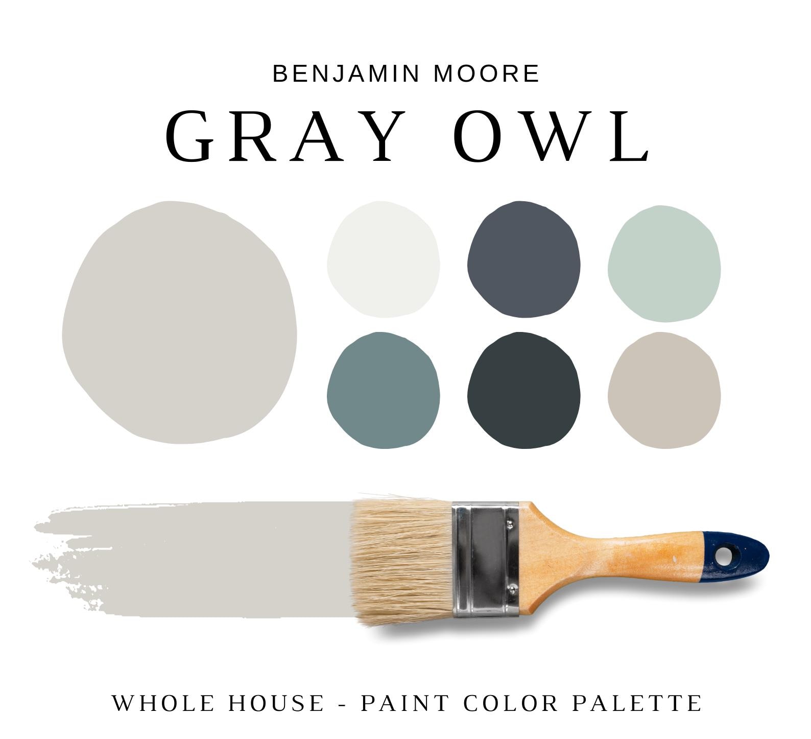 Benjamin Moore GRAY OWL Color Palette, Gray Owl Paint Palette, Gray Owl ...