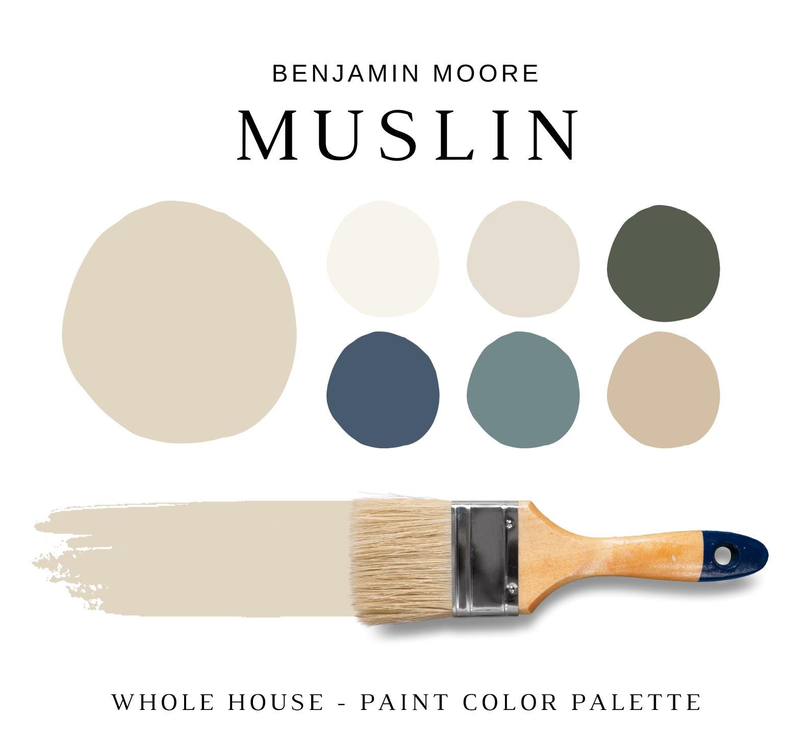 Benjamin Moore MUSLIN Color Palette, Modern Color Scheme, BM MUSLIN ...