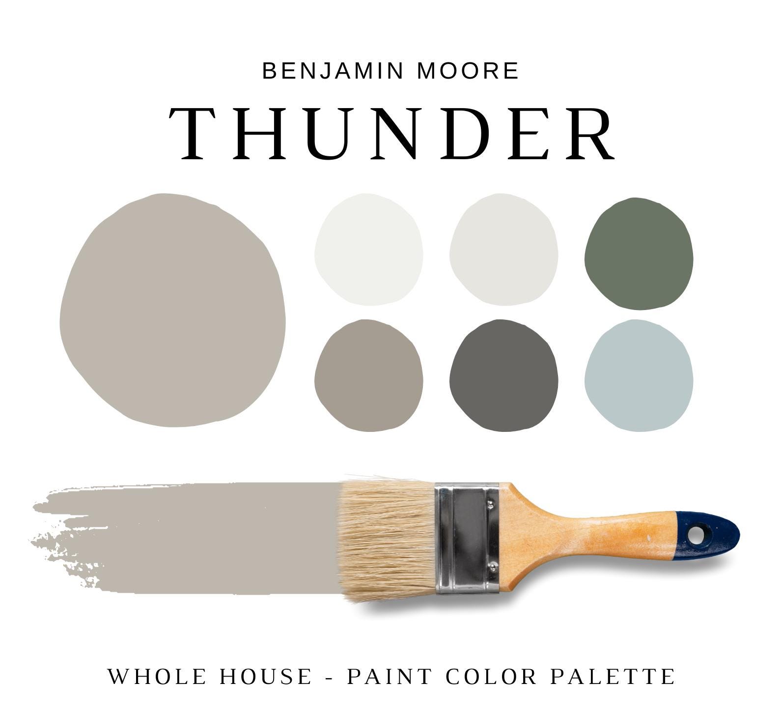Benjamin Moore THUNDER Color Palettes, Benjamin Moore Neutral Color, BM ...