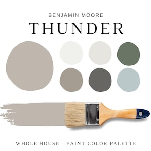 Benjamin Moore THUNDER Color Palettes, Benjamin Moore Neutral Color, BM ...