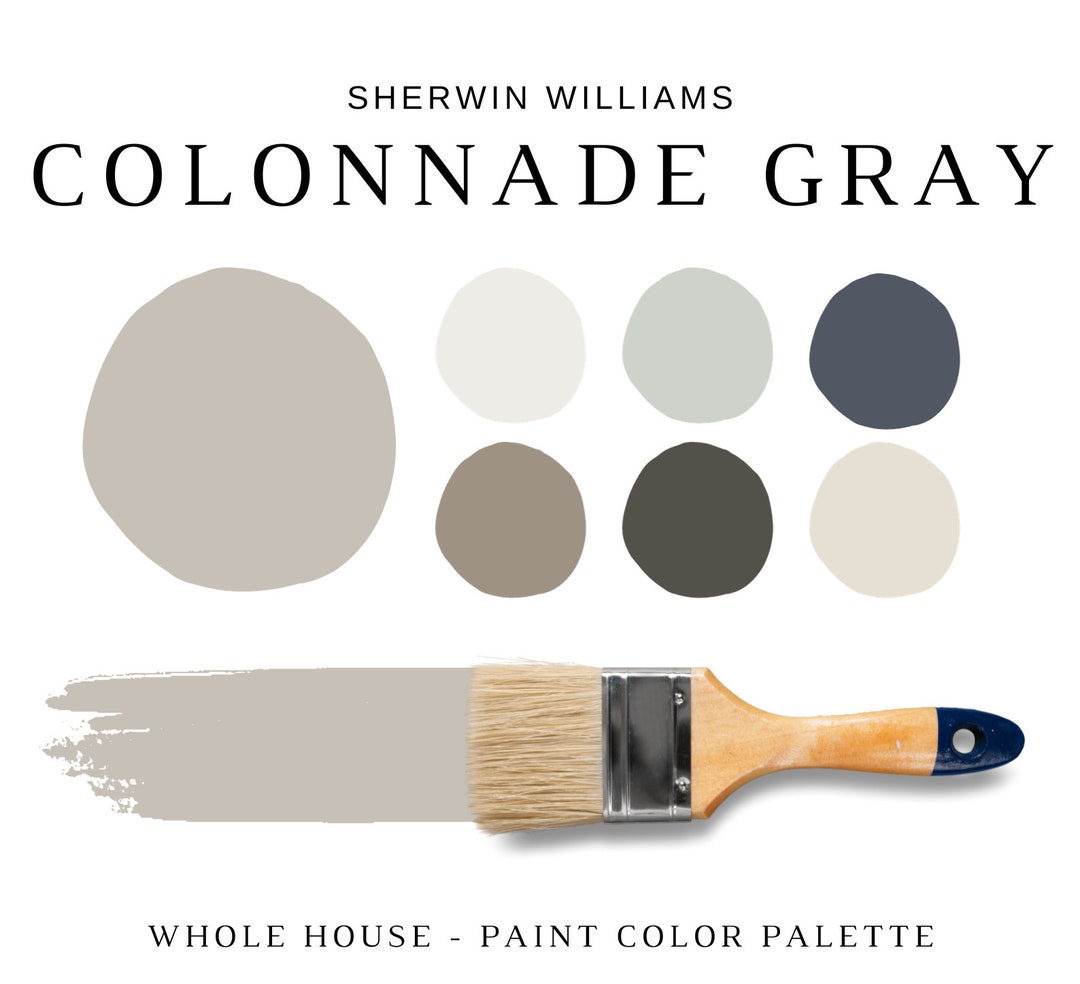 Sherwin Williams COLONNADE GRAY Color Palette, 2023 Top Color, Sherwin ...