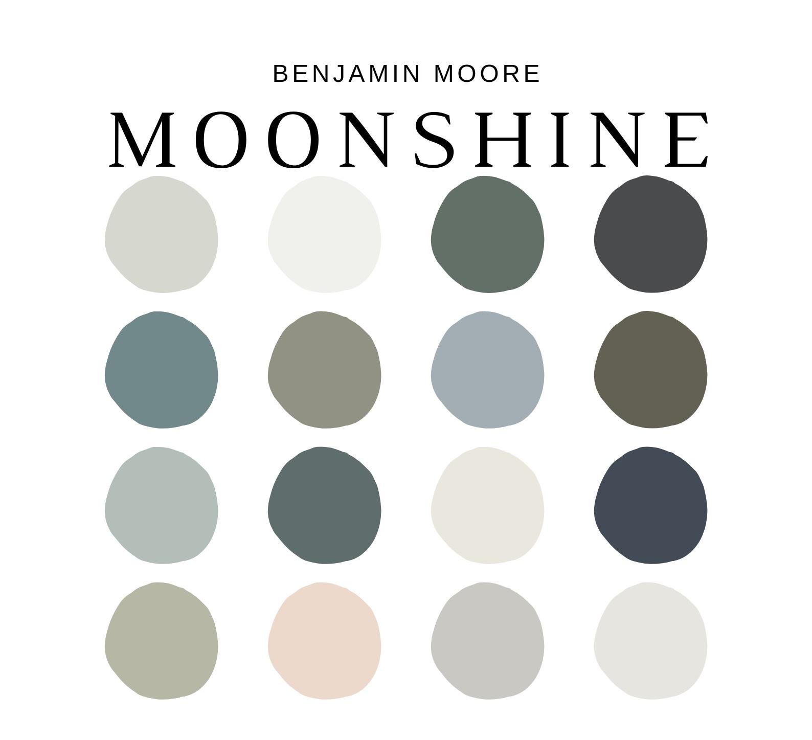 Benjamin Moore MOONSHINE Color Palettes, Gray Color Palette, BM ...