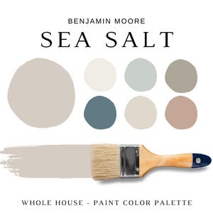 Benjamin Moore SEA SALT Color Palette, Modern Color Scheme, Sea Salt ...