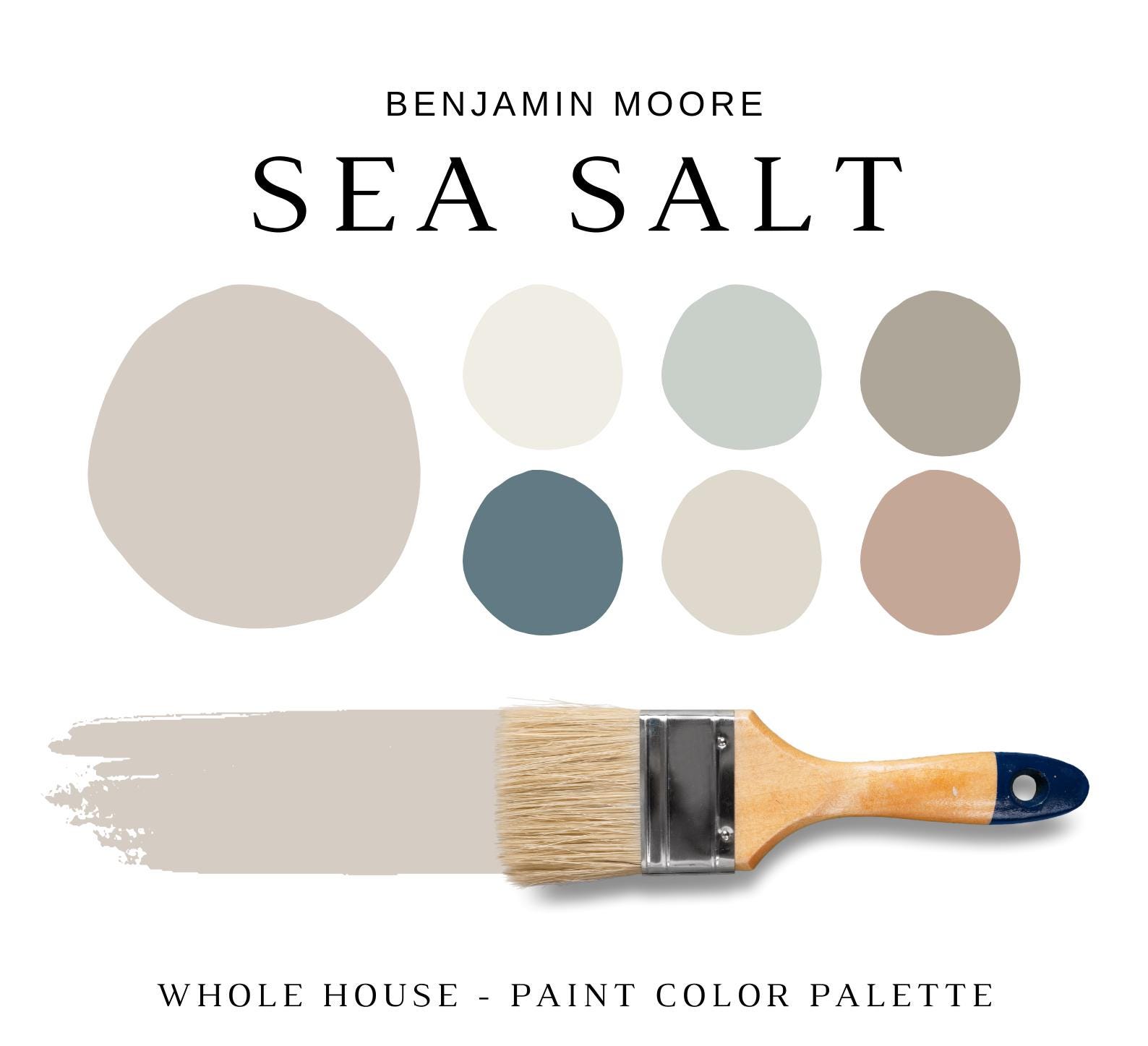 Benjamin Moore SEA SALT Color Palette, Modern Color Scheme, Sea Salt ...