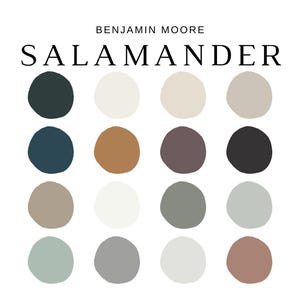 Benjamin Moore SALAMANDER Color Palette, Teal Wall Accent, Salamander ...