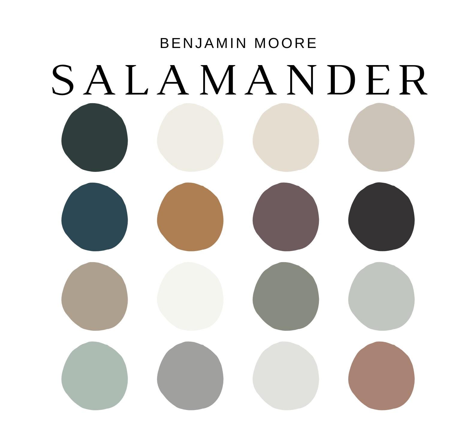 Benjamin Moore SALAMANDER Color Palette, Teal Wall Accent, Salamander ...