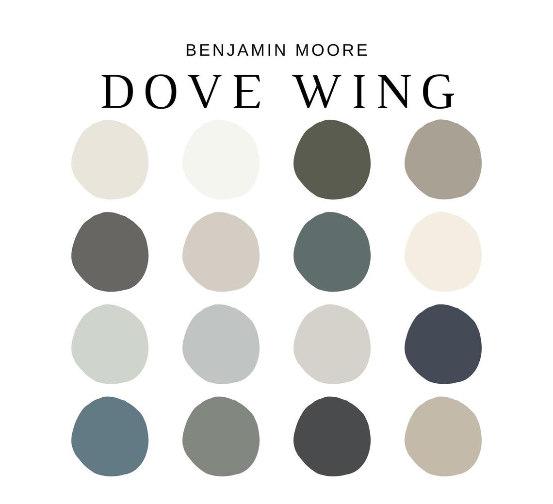 Benjamin Moore DOVE WING Color Palette, Modern Color Scheme, Dove Wing ...