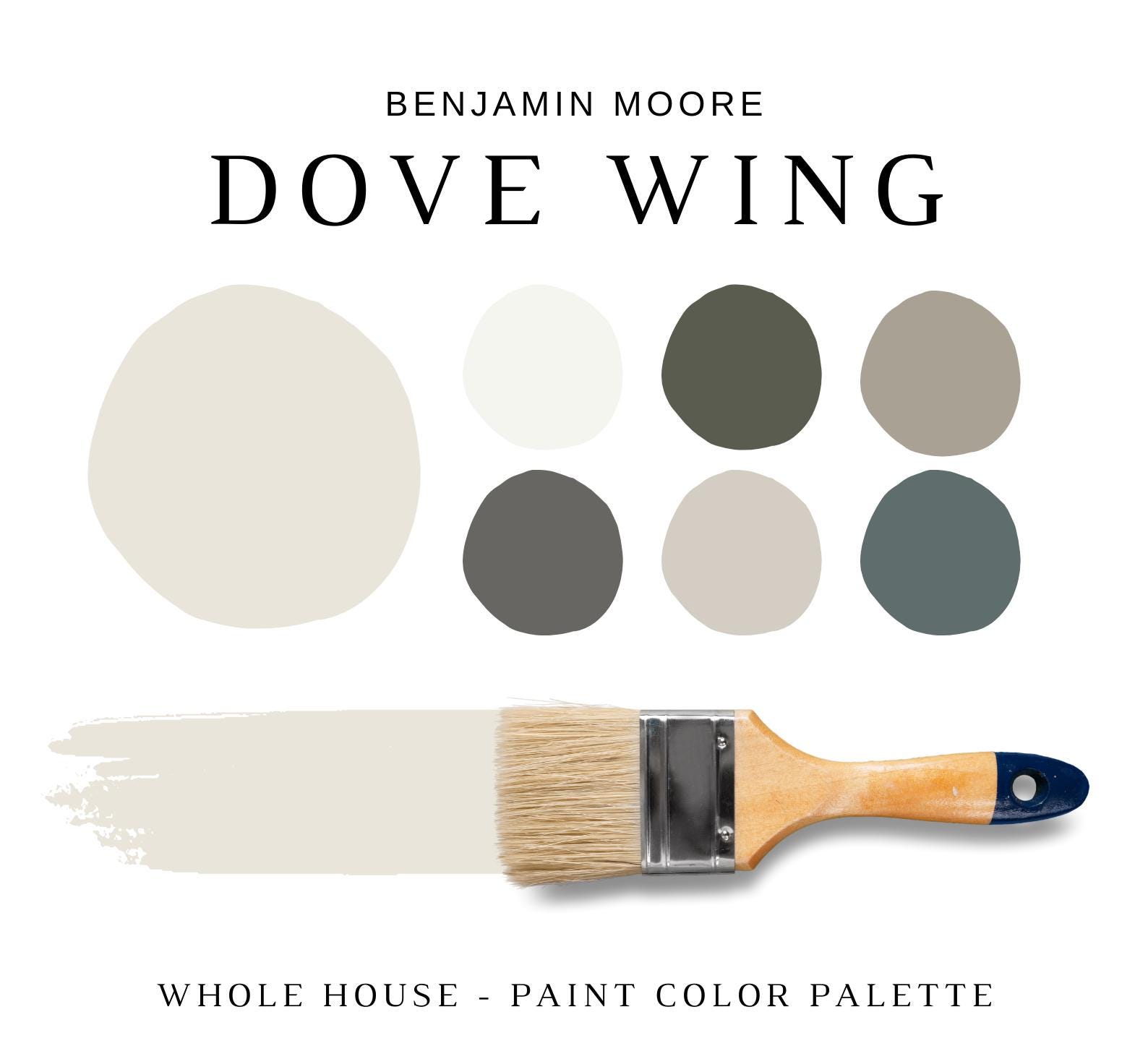 Benjamin Moore DOVE WING Color Palette, Modern Color Scheme, Dove Wing ...