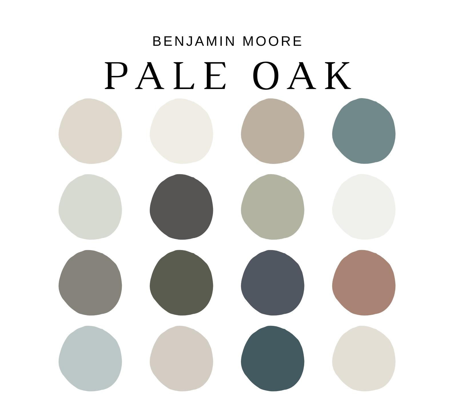 Benjamin Moore PALE OAK Color Palettes, Light Greige Paint, Pale Oak ...