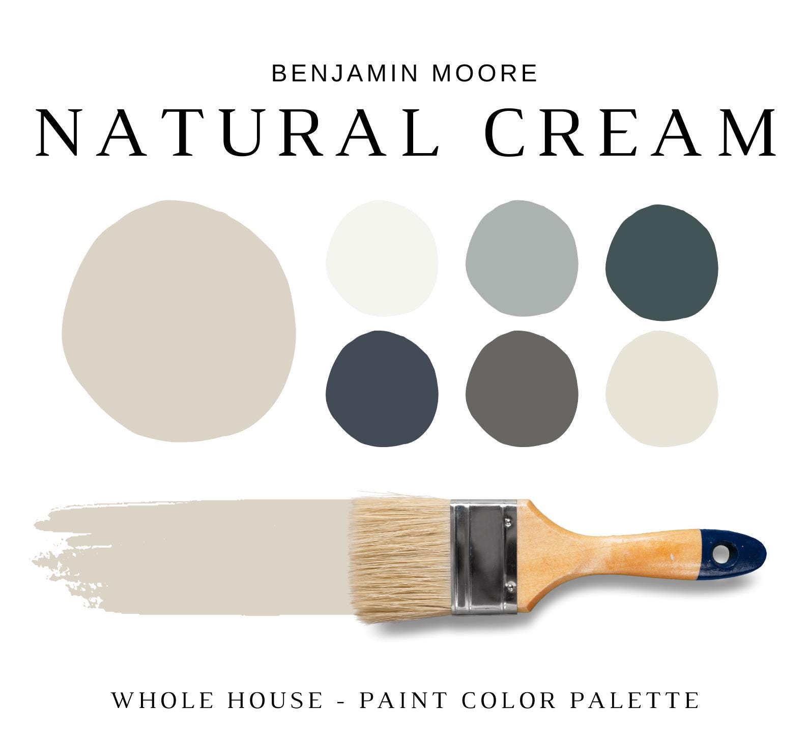 Benjamin Moore NATURAL CREAM Color Palette, Modern Color Scheme, BM ...