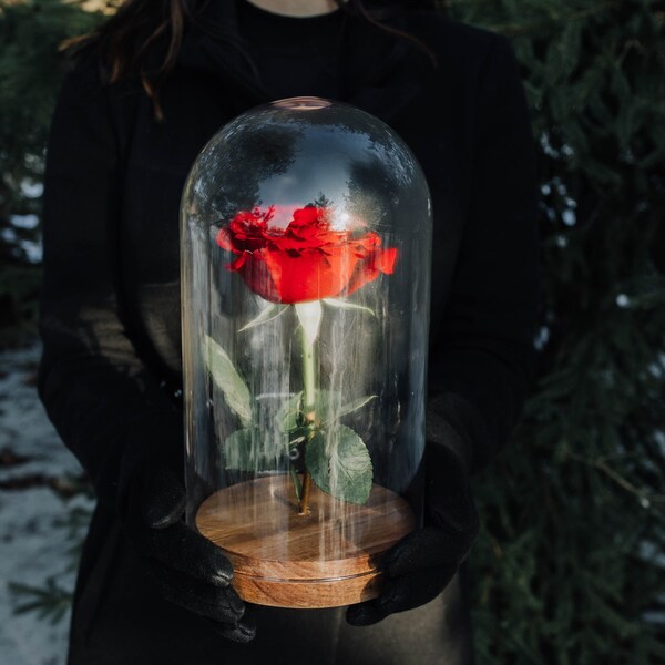 Beauty and the Beast Rose Under Glass - Etsy