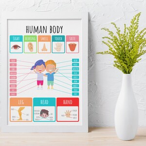 Human Body Poster INSTANT DOWNLOAD Educational Prints Nursery Print ...
