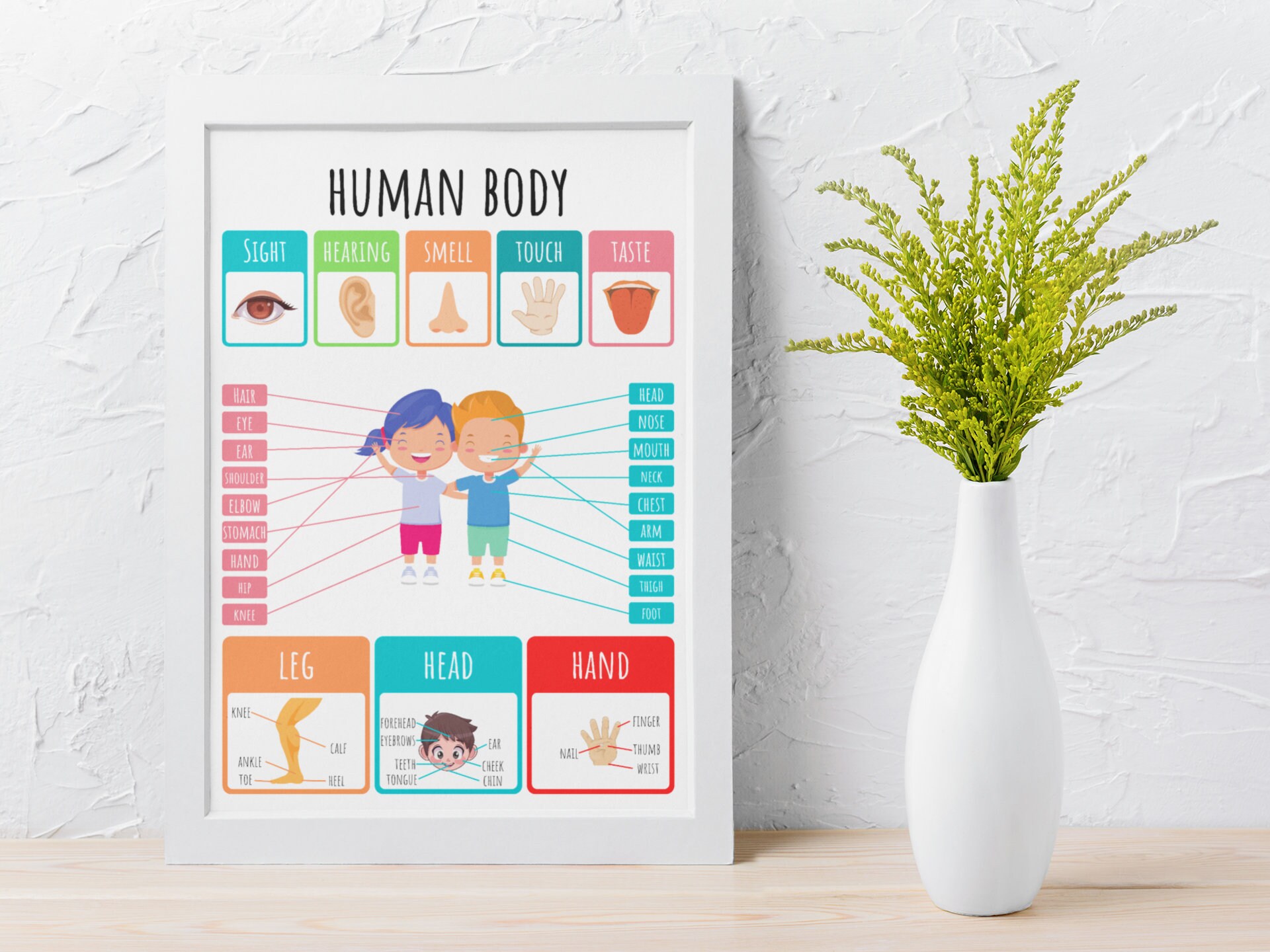 Human Body Poster INSTANT DOWNLOAD Educational Prints Nursery Print ...