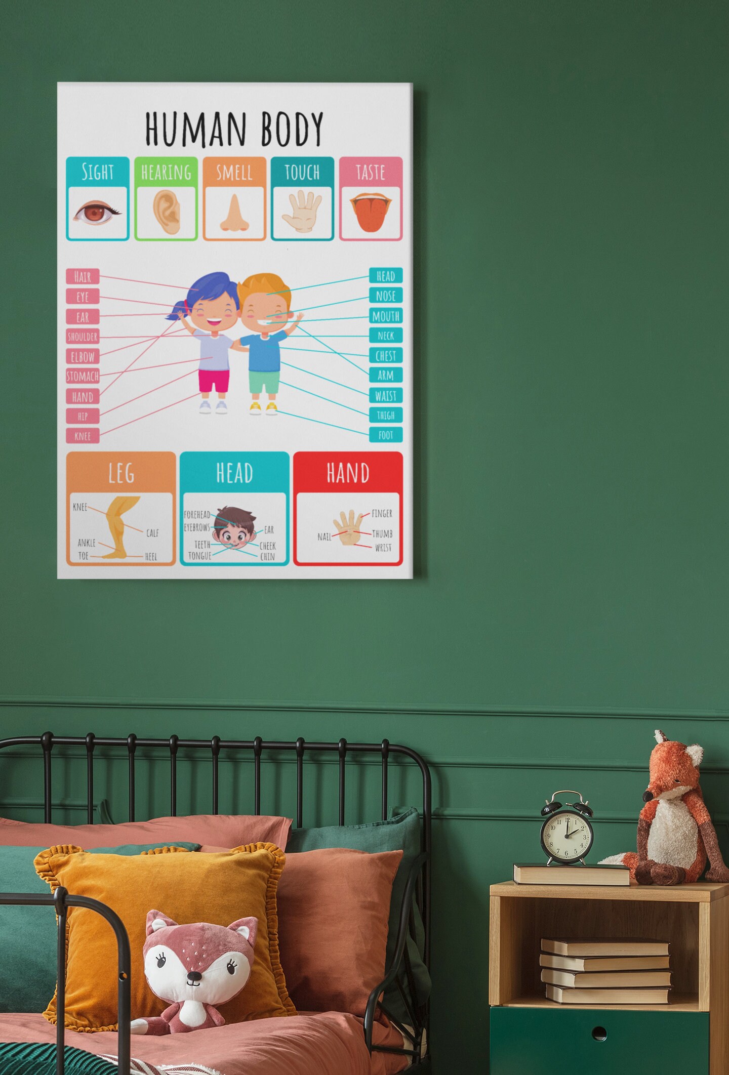 Human Body Poster INSTANT DOWNLOAD Educational Prints Nursery Print ...