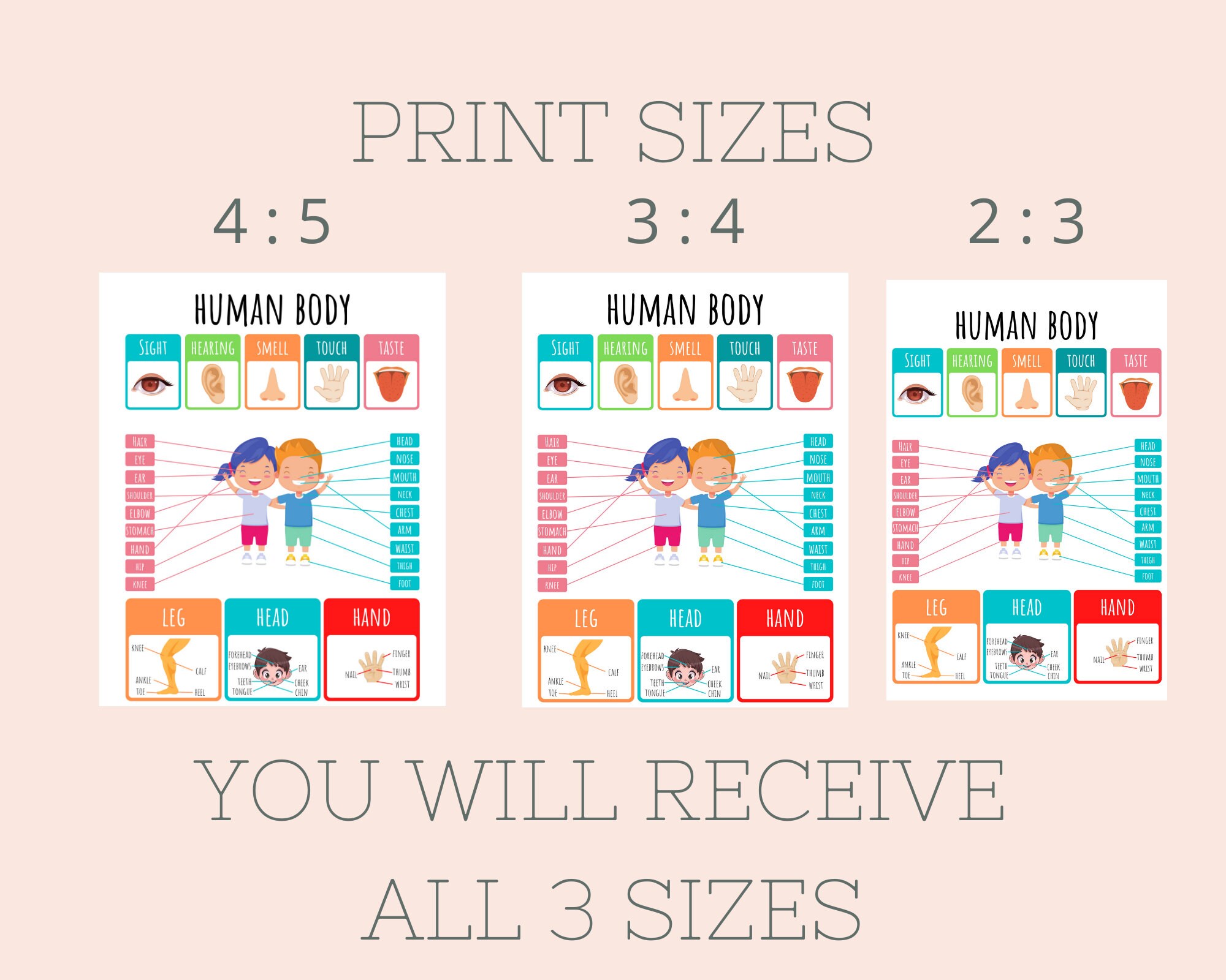 Human Body Poster INSTANT DOWNLOAD Educational Prints Nursery Print ...