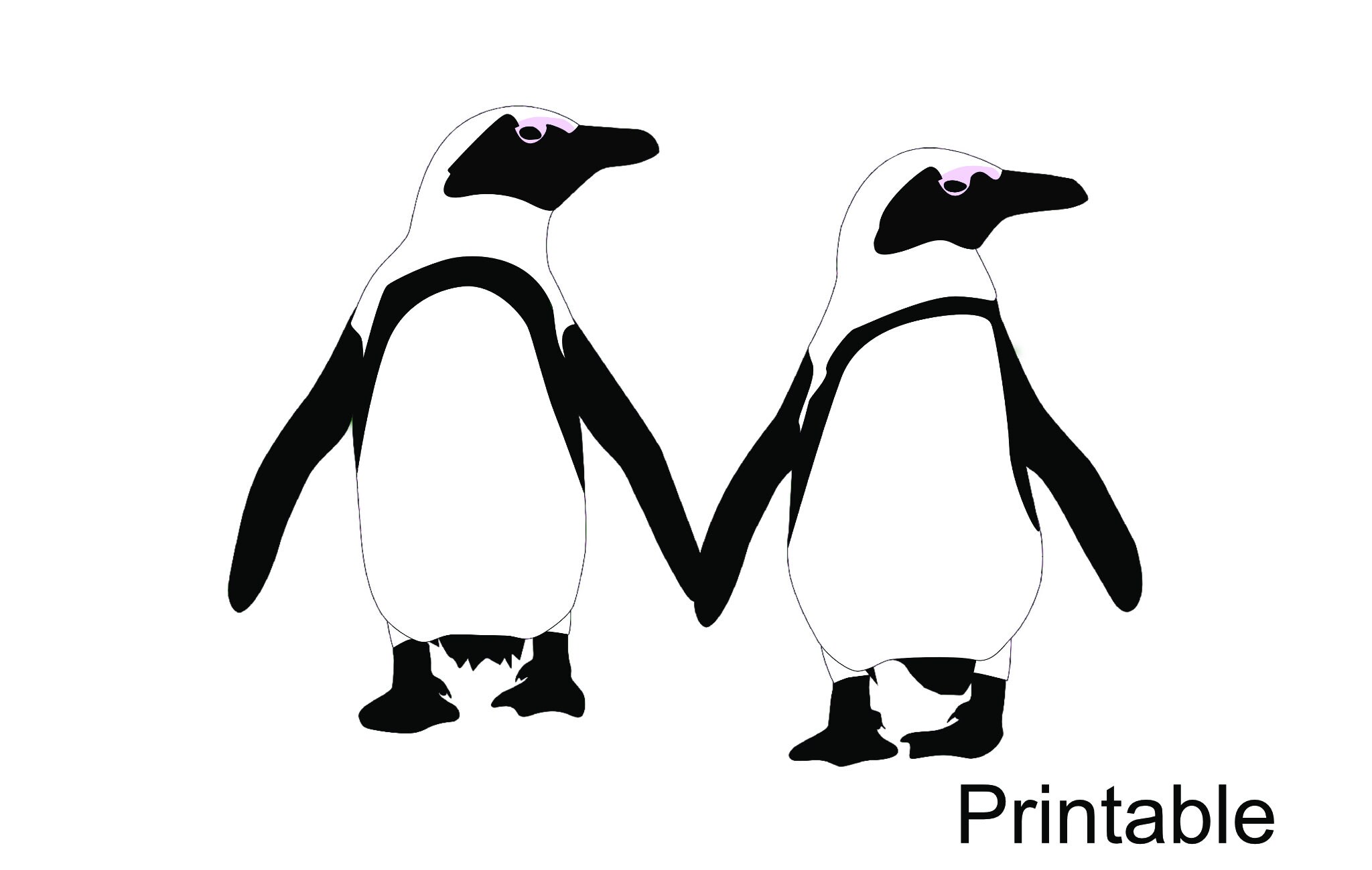 African Penguins vector art canvas printable | Etsy