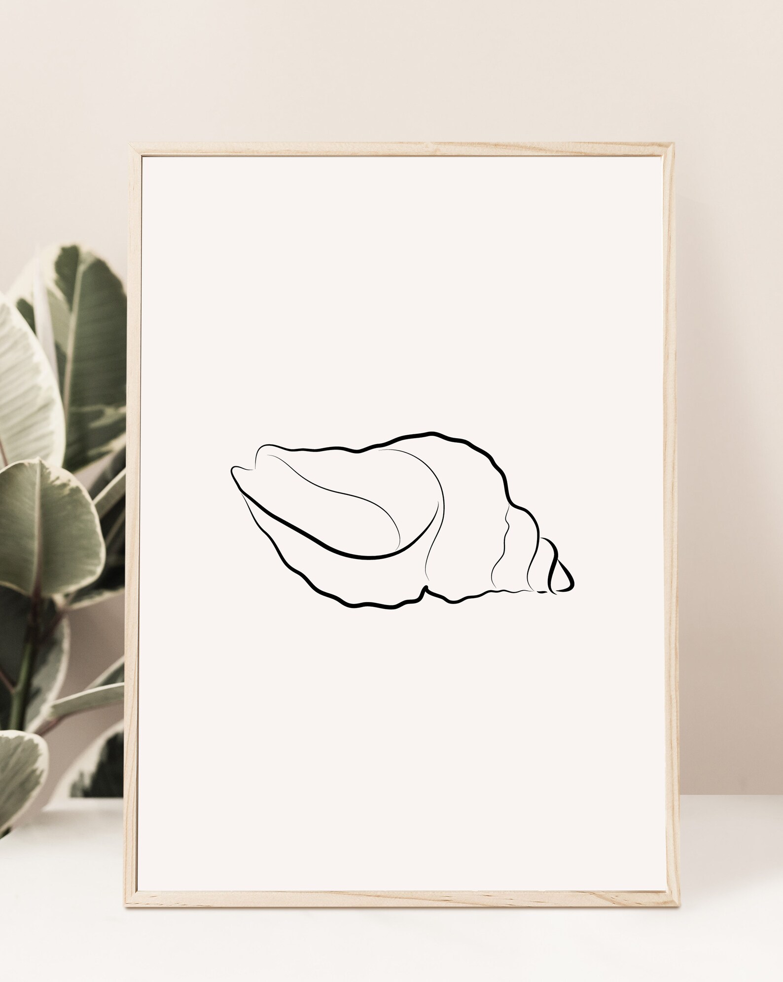 Ocean Conch Shell DIGITAL Download Print Line Drawing Sketch | Etsy