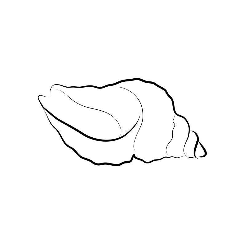 Ocean Conch Shell DIGITAL Download Print Line Drawing Sketch Minimal ...