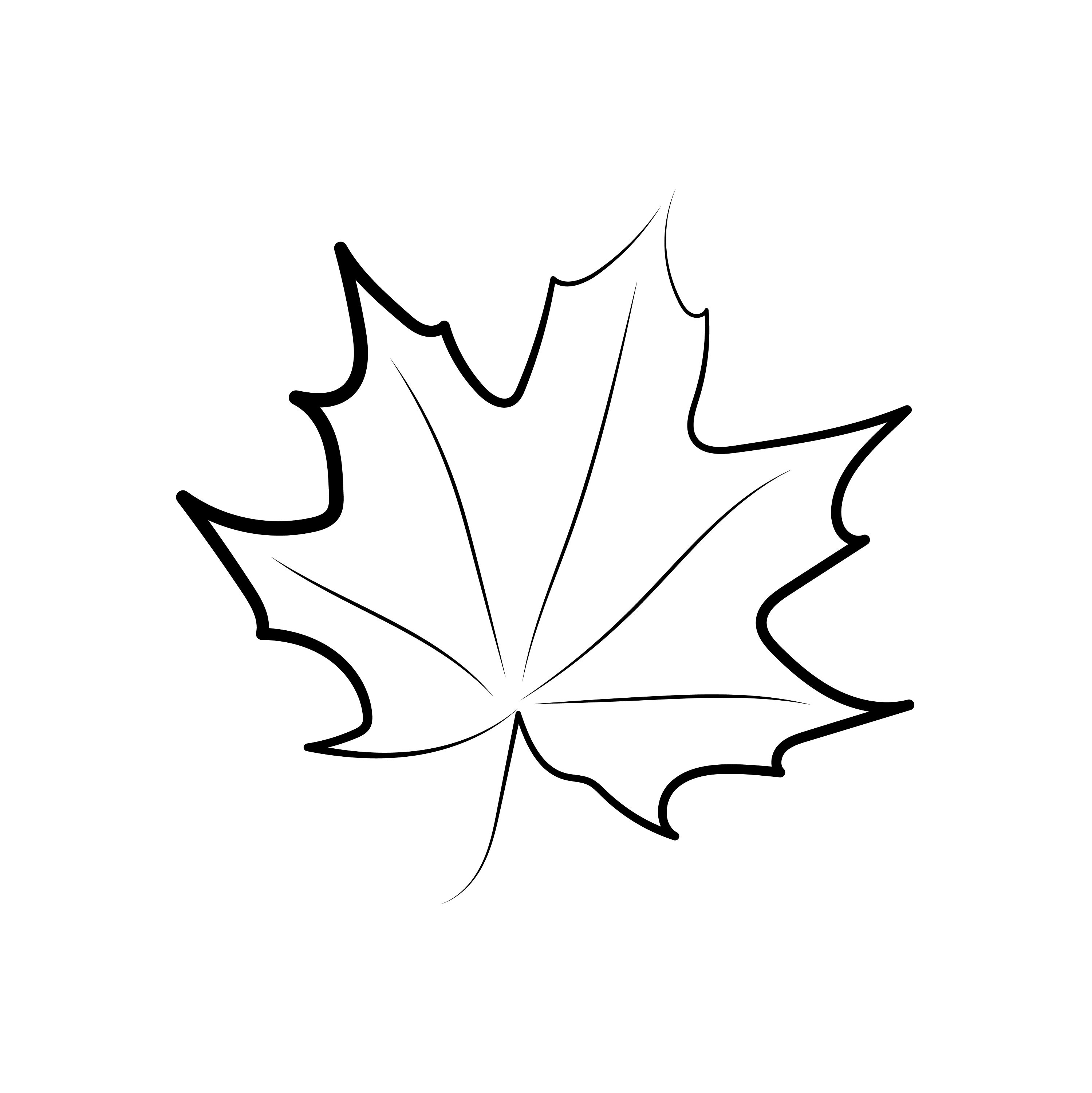 Maple Leaf DIGITAL Download Print Line Drawing Sketch Minimal ...