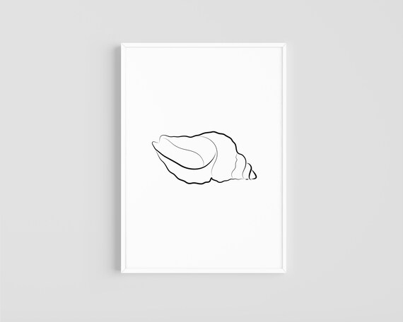 Ocean Conch Shell DIGITAL Download Print Line Drawing Sketch | Etsy