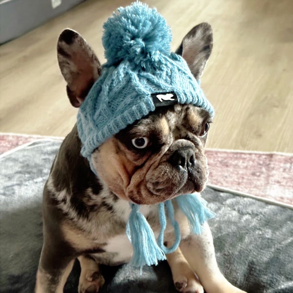Bulldog Hat - Etsy
