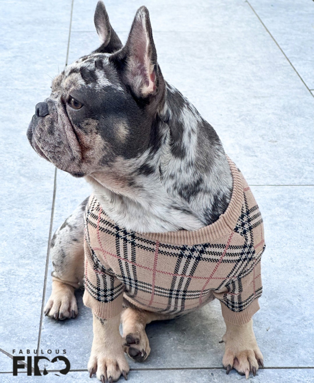 Fabulous Fido Dog Warm Sweater, French Bulldogs Winter Wool Clothes ...