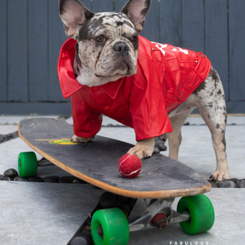 Large Dog Clothes - Etsy