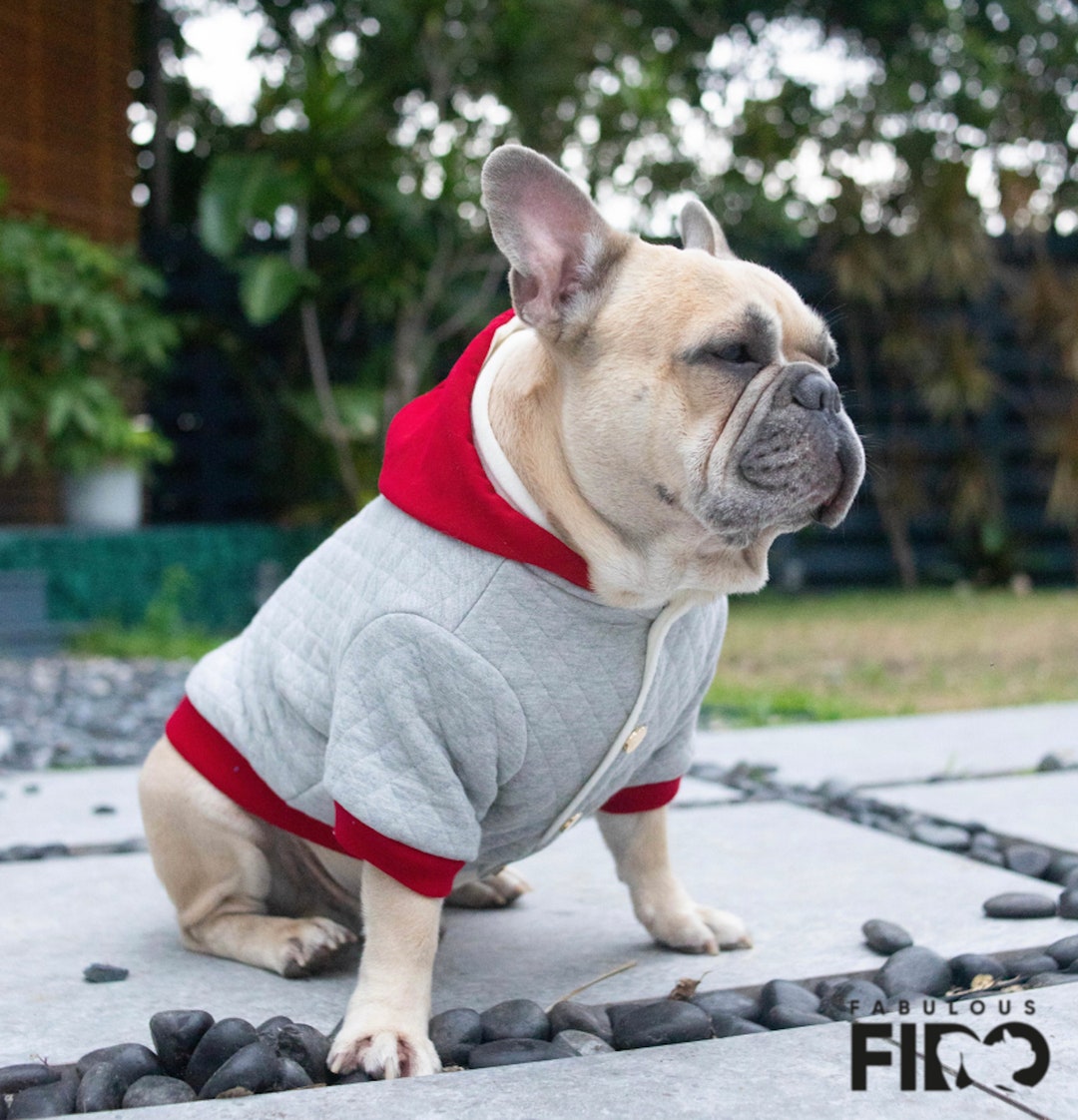 Fabulous Fido Warm French Bulldogs Hoodie, Fleece Bulldog Hoodie ...