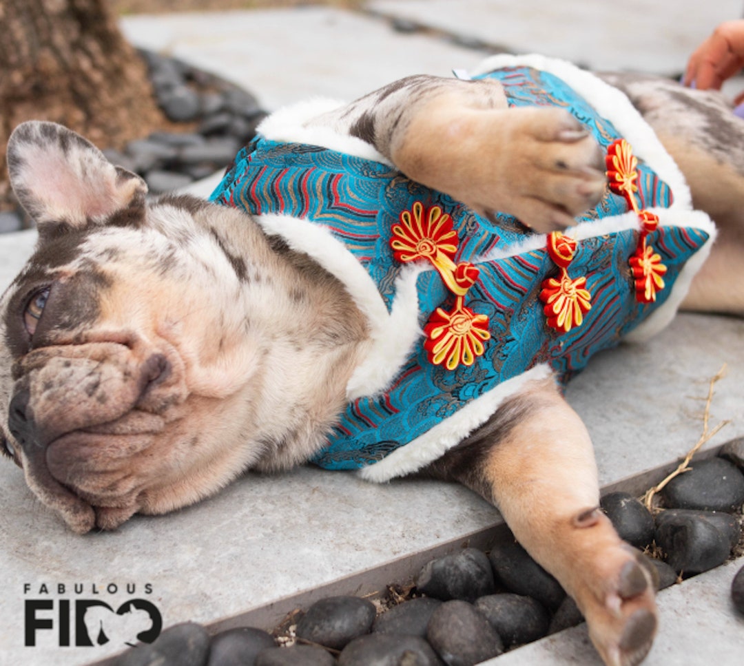 Fabulous Fido French Bulldogs Warm Vest, Fleece-lined Winter Vest ...