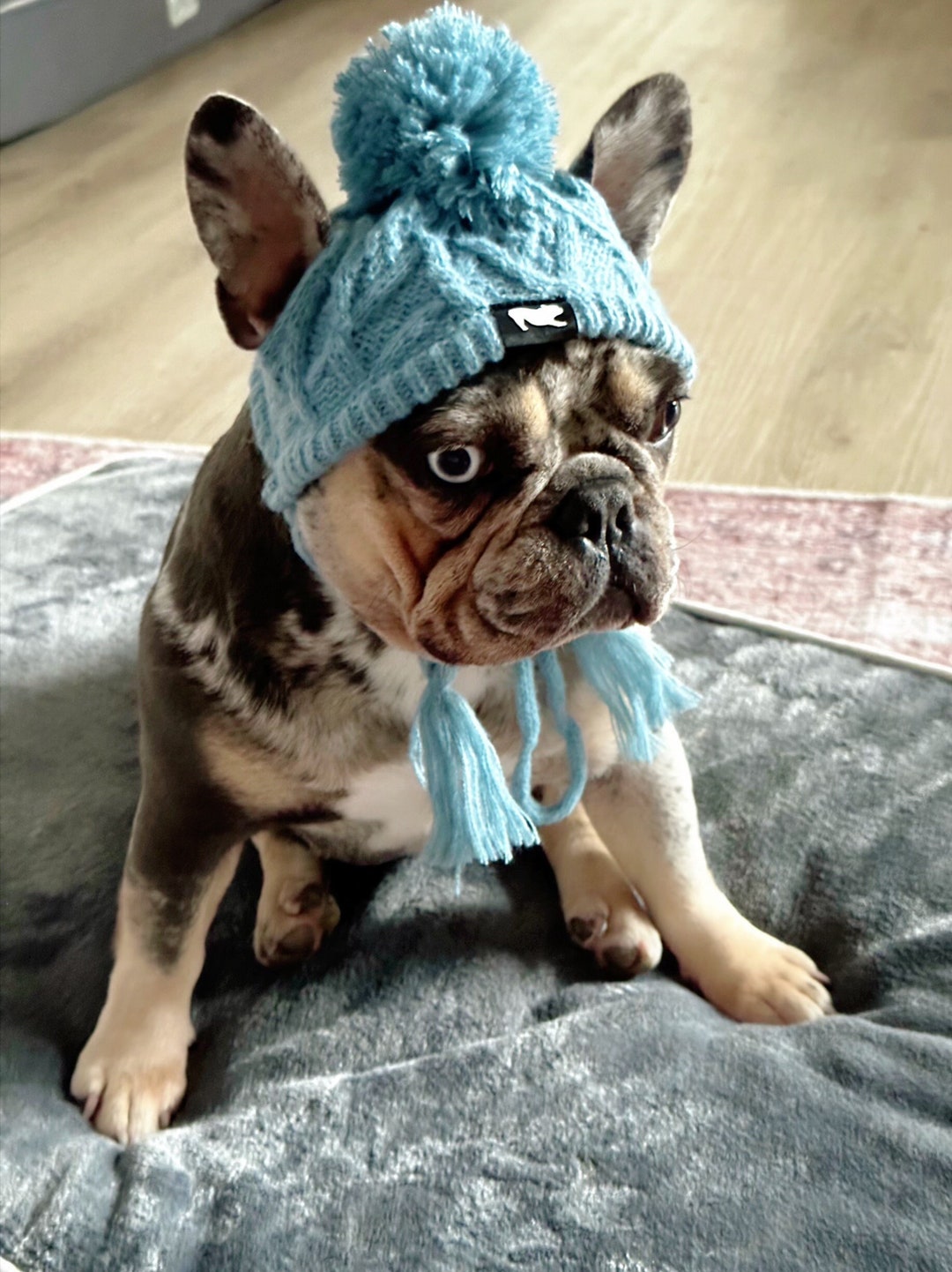 Fabulous Fido Dog Hat French Bulldog Clothes Dog Beanie Bulldog Hats ...