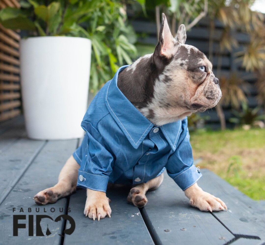 Dog Denim Long Sleeve Shirt, Ideal Birthday Gift for Fashionable French ...