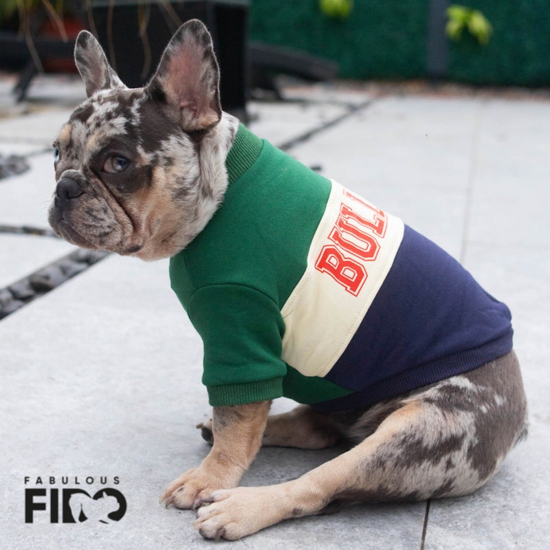 French Bulldog Clothing for Dog - Etsy