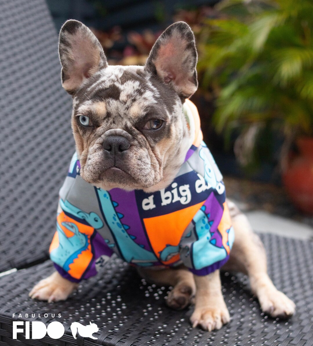 Fabulous Fido French Bulldog Thickened Fleece Hoodie, Small Dinosaur ...