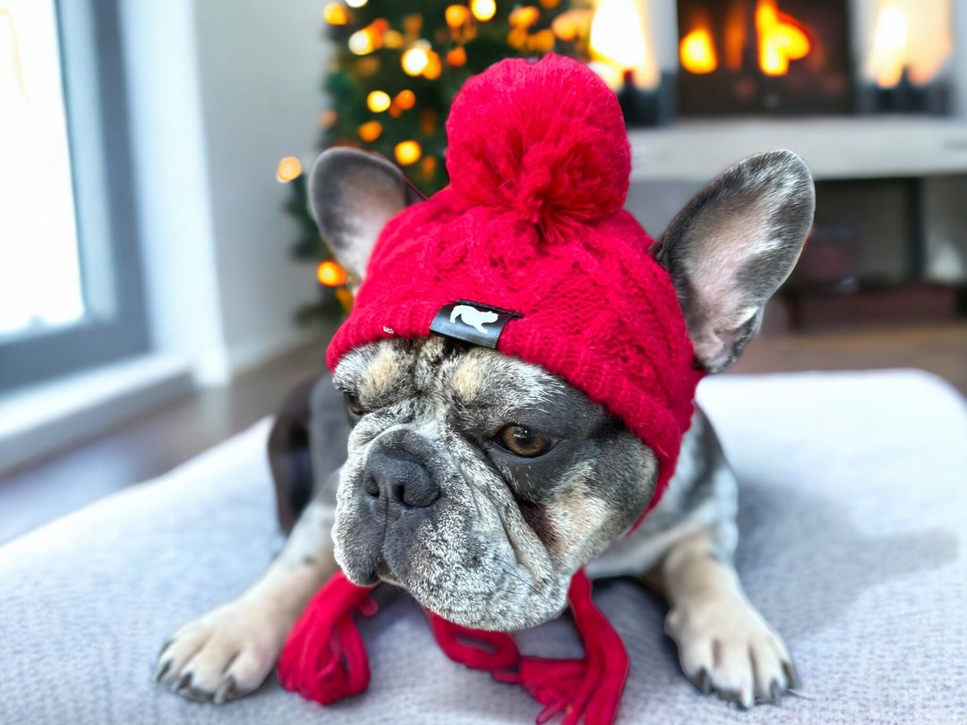 Fabulous Fido Dog Hat French Bulldog Clothes Dog Beanie Warm & Cozy Dog ...